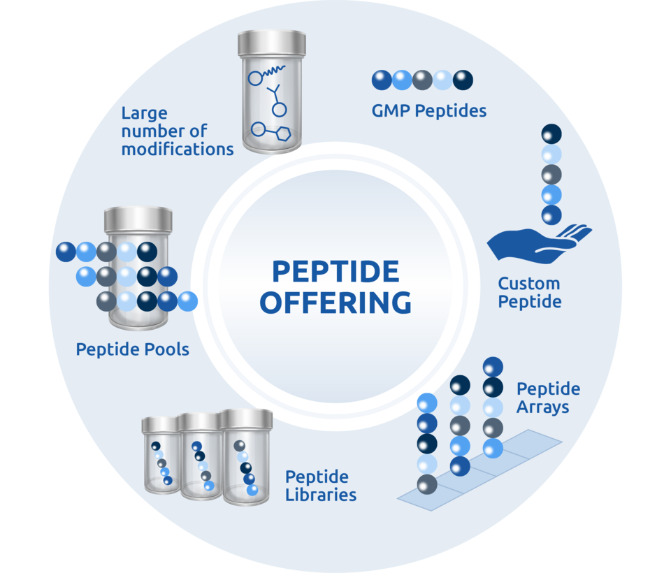 Tailored Peptide solutions – Intavis Peptide Services
