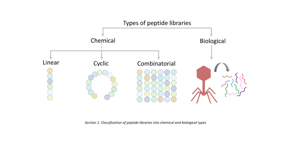 Synthetic Peptide Libraries: Unlocking New Possibilities in ...